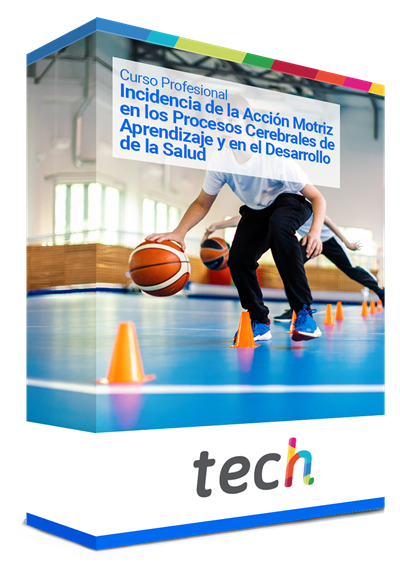 Curso Profesional en Incidencia de la Acción Motriz en los Procesos Cerebrales de Aprendizaje y ...