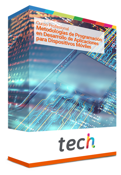 Curso Profesional en Metodologías de Programación en Desarrollo de ...