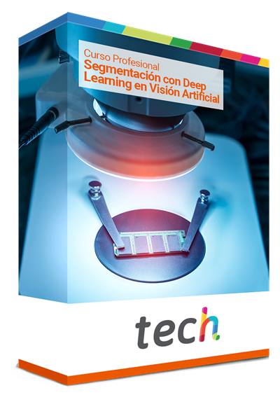 Curso Profesional en Segmentación con Deep Learning en Visión ...