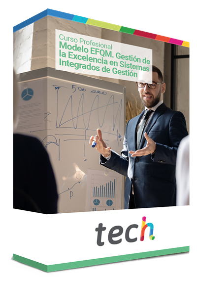 Curso Profesional en Modelo EFQM. Gestión de la Excelencia en Sistemas Integrados de Gestión ...