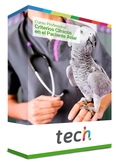 Curso Profesional en Criterios Clínicos en el Paciente Aviar - TECH España